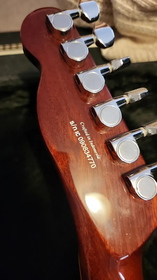 Fender Special Edition Custom Telecaster Spalted Maple | eBay