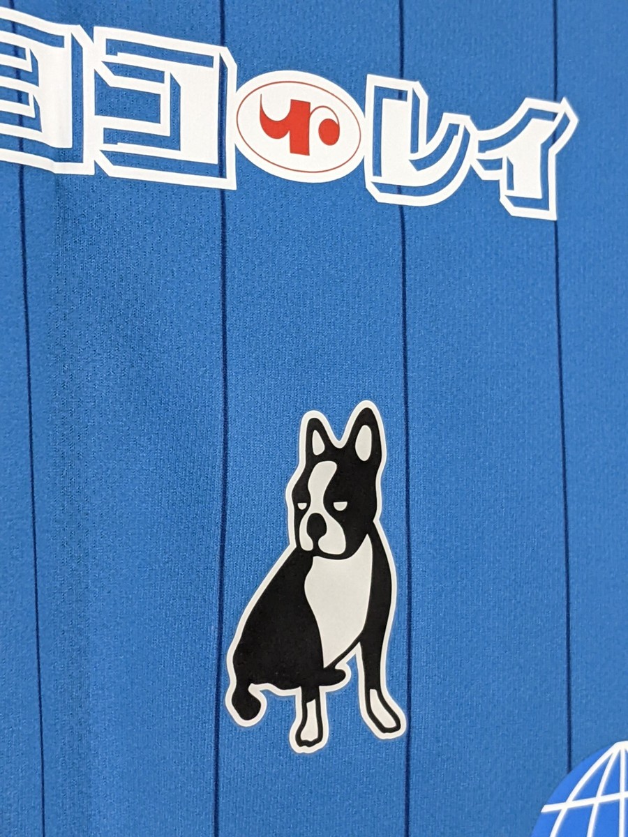 Full Grown Shunsuke Dog