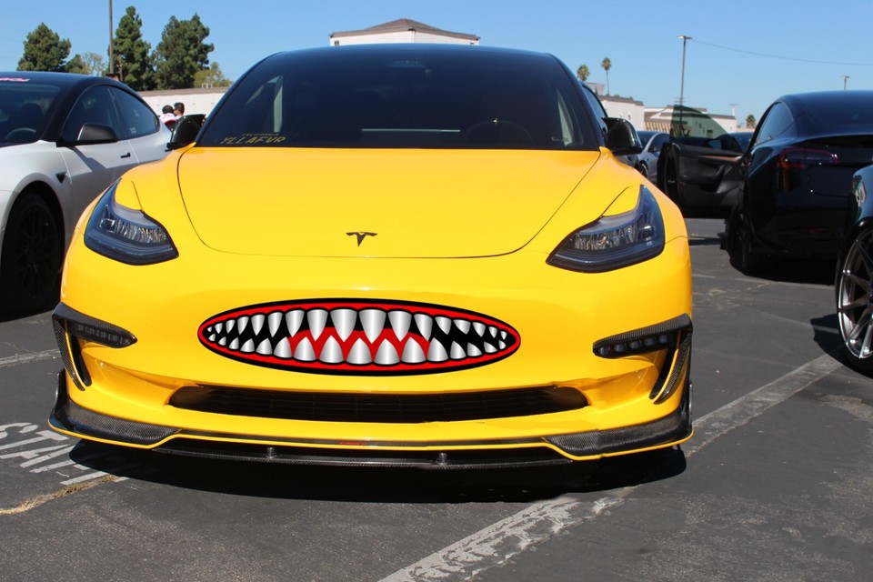 Tesla Shark Mouth Sharp Teeth Custom Front Bumper Decal/Sticker | Red ...
