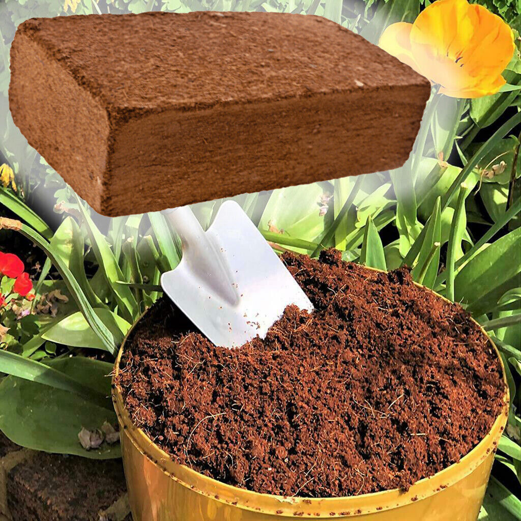 Premium Coco Coir Peat Brick Organic Block | Grelly UK
