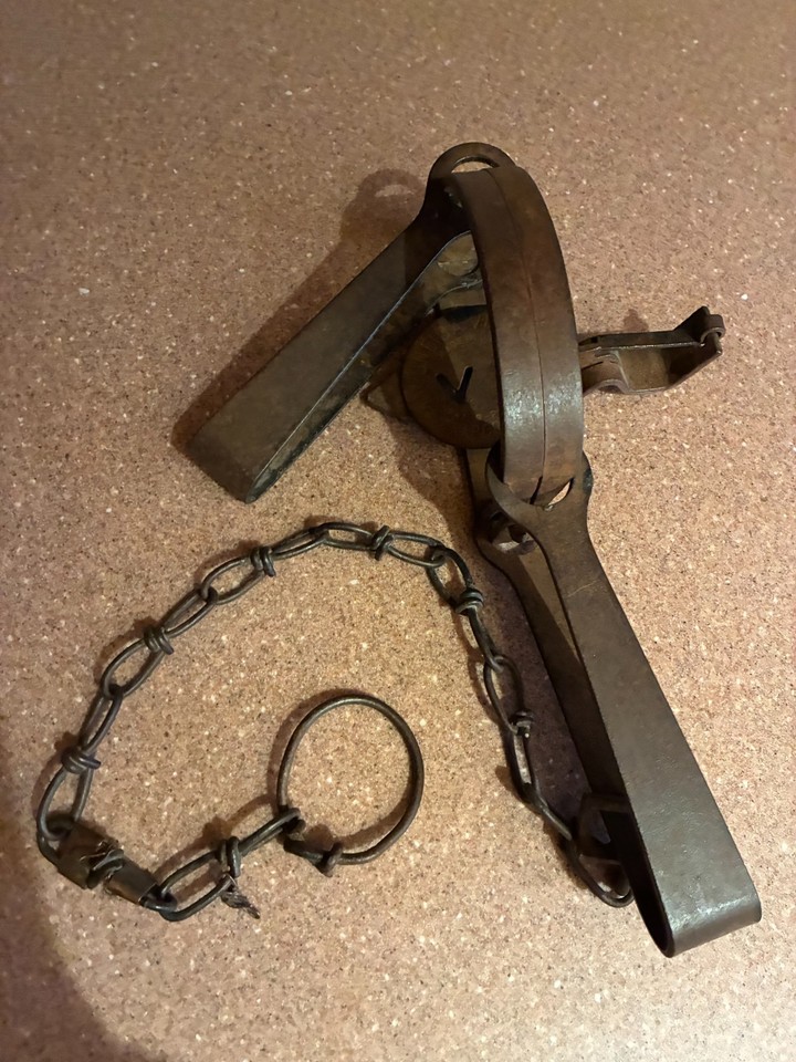 Antique Victor Double Long Spring Trap #3 with Offset Jaws And Chain ...