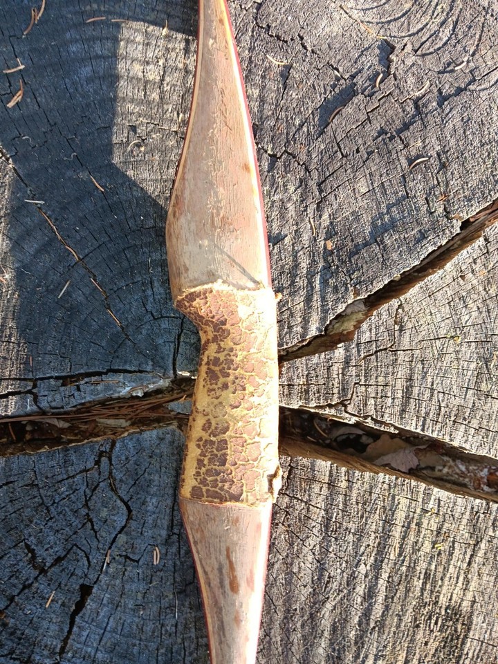 Ancient Damon Howatt Archery Mamba Hi Speed recurve Wallhanger | eBay