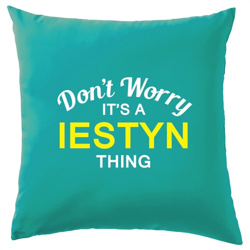 Don't Worry It's a IESTYN Thing! Cushion Surname Custom Name Family ...