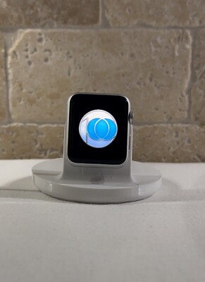 RARE Apple Watch (Series 0 DEMO) 42mm Collectors Item "Please Read" | eBay