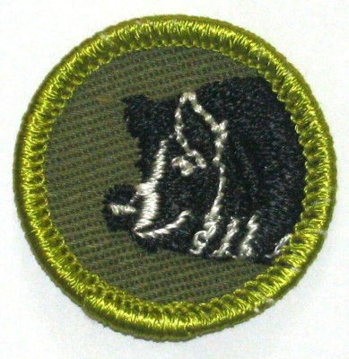 Boy Scout HOG PRODUCTION Merit Badge Type F (1961-68) Khaki Rolled Edge ...