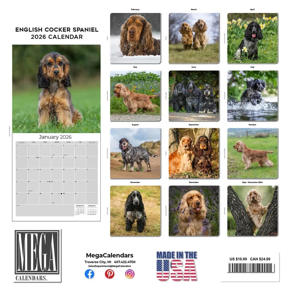 ENGLISH COCKER SPANIEL Wall Calendar 2026 Animal DOG PET Lover Gift | eBay