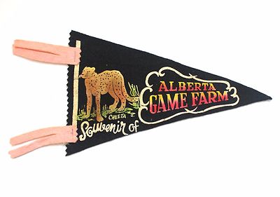 Vintage Alberta Game Farm Pennant Felt Banner Canada Souvenir 1960's Al ...