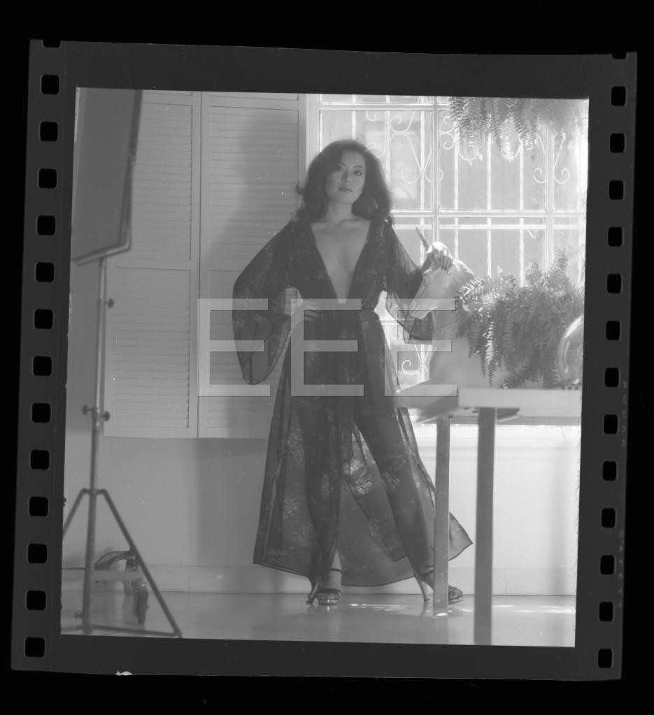 Sally Kim Sexy Movie Actress Model Harry Langdon Negative w/rights 522K ...