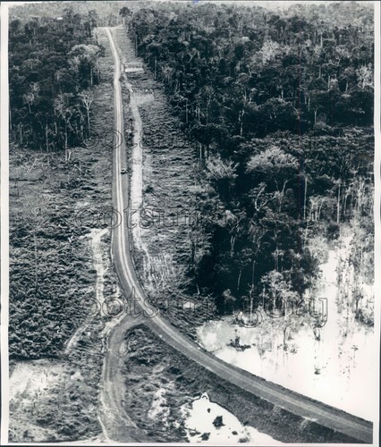 1979 Transamazon Highway 1970s Brazil Press Photo | eBay