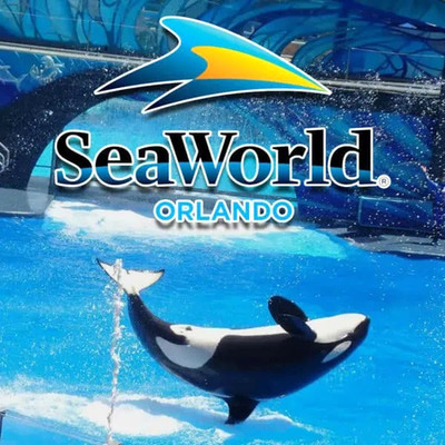 SEAWORLD ORLANDO FLORIDA TICKET DISCOUNT PROMO INFO TOOL | eBay