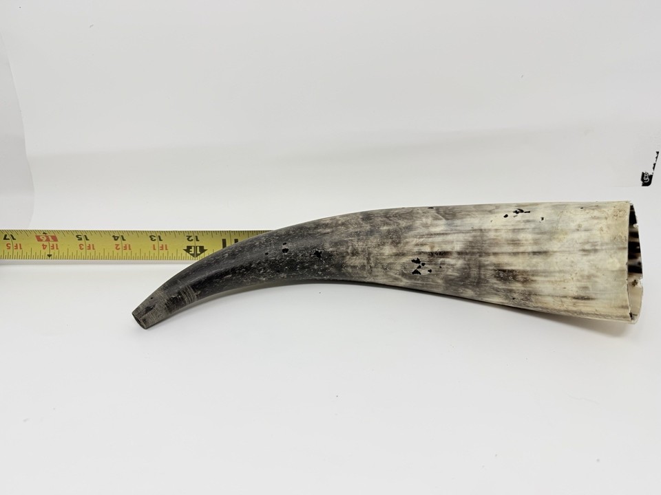 ONE MEDIUM UNPOLISHED COW HORN , REAL HORN , ONE OF A KIND , NATURAL ...