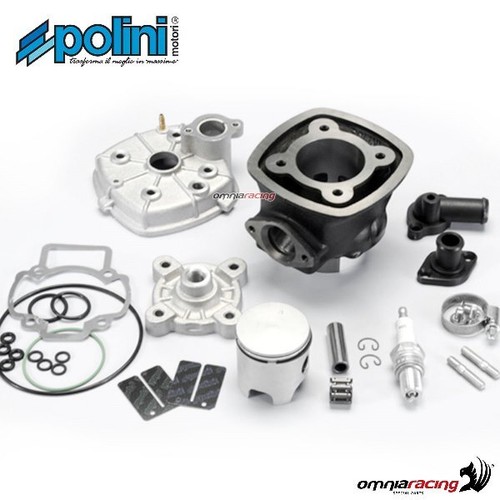 Polini racing cylinder kit D. 47 for Aprilia SR50 R-Factory engine ...