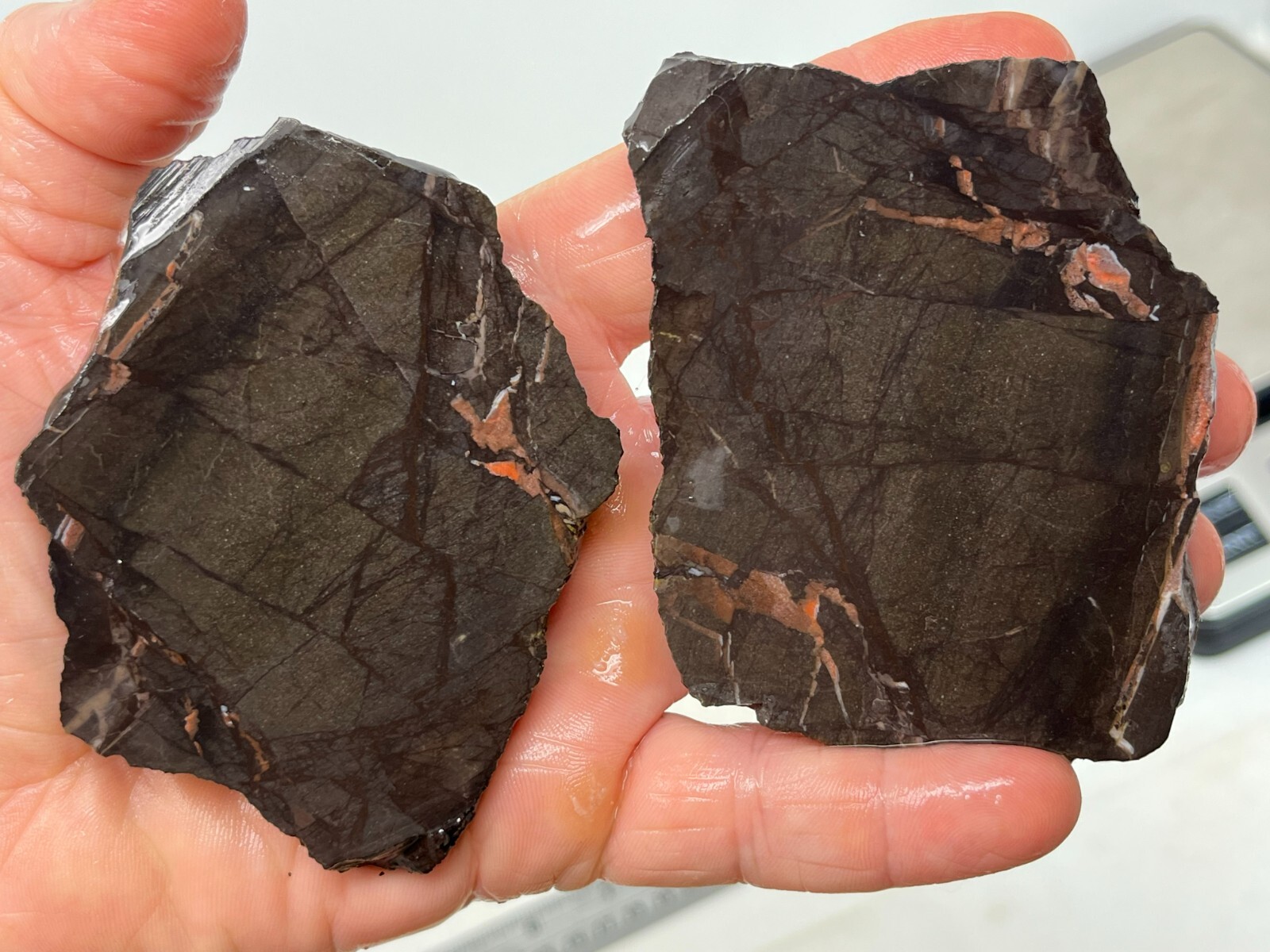 Cali Desert Brecciated Jasper slabs for Cabbing Lapidary Collecting ...