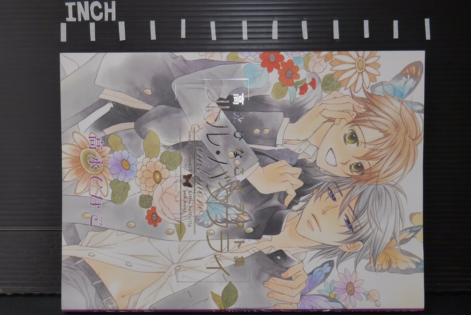 Hinako Takanaga Art Works - Little Butterfly and More Art Book, Japan ...