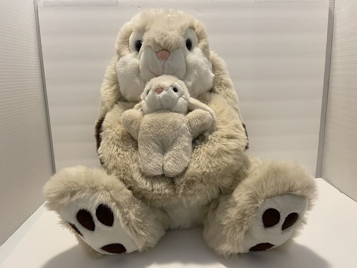 Dwarf Rabbits Floppy Ears I'm In Need Of Help. My Mother's Rabbit Has