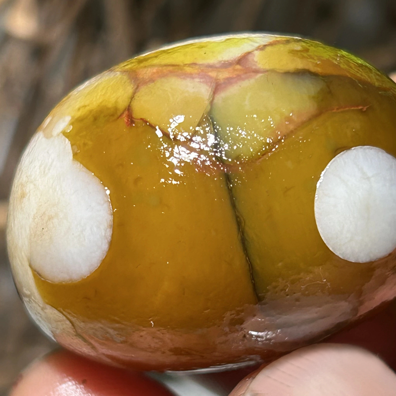Natural Mongolia Gobi Eye Rough Agate Stone Collection Specimen | eBay