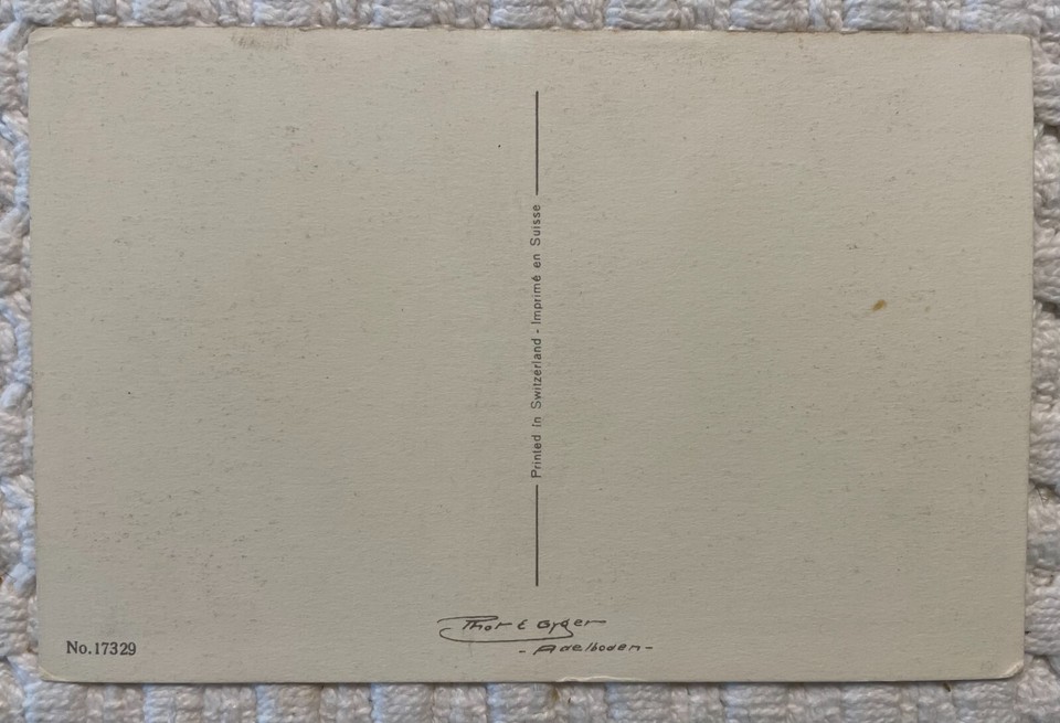 Kitten Cat Art Postcard Thor E. Gyger Geranium Flower Switzerland | eBay