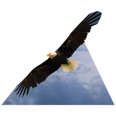 BALD EAGLE CARDBOARD CUTOUT Standee Standup Poster Prop Soaring Bird of ...