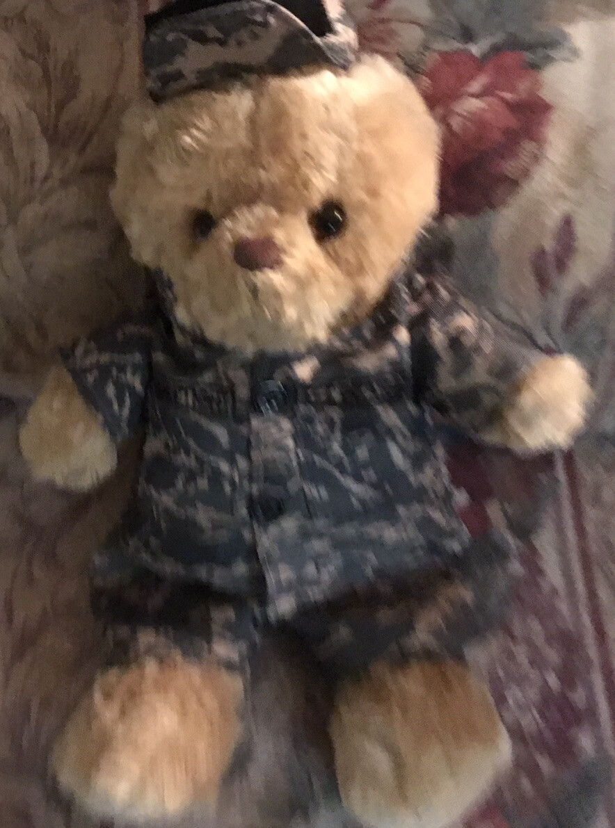 ZZZ Bears Air Force Sleeptight Bear 651519540794| eBay