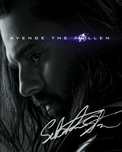 Sebastian Stan - The Winter Soldier - The Avengers Autograph Signed ...