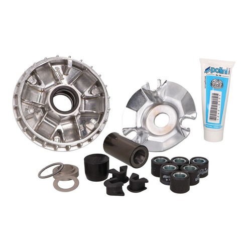 Polini Hi-Speed Variator Kit Gilera Runner FXR FX SP 125 180 2T LC | eBay