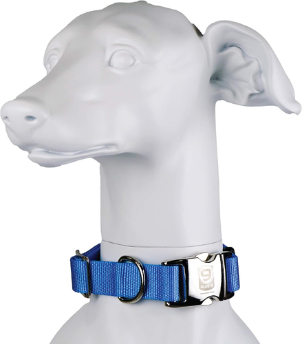 Secure Pro Dog Collar for Obedience, Training, and Identity, Durable ...