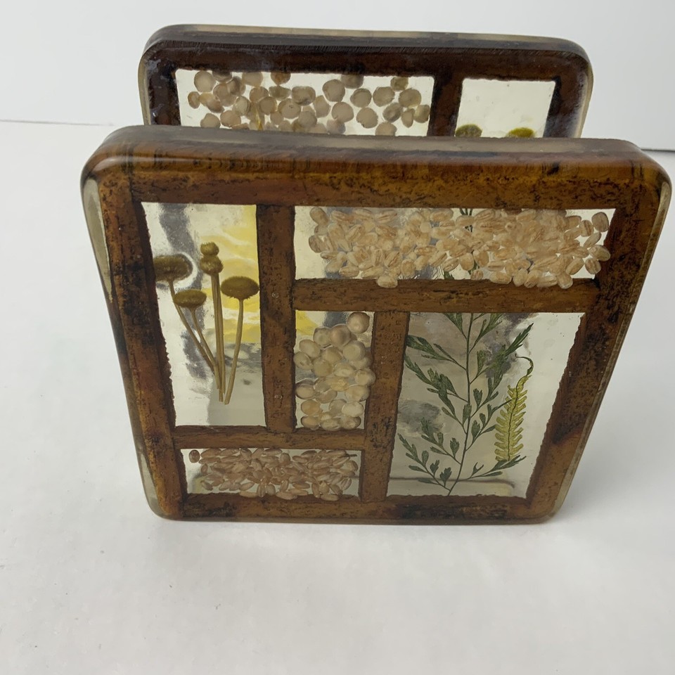 Colorflo Vintage Lucite Resin Seeds Grains Plants Napkin Letter Holder ...