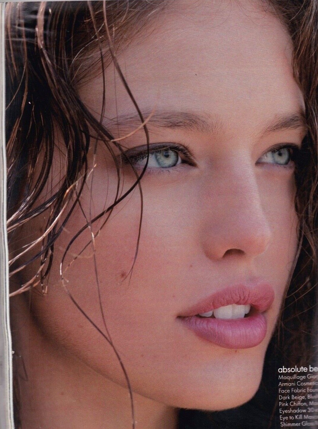 ELLE FRANCE 2010 KRISTEN GUESS MODEL EMILY DIDONATO VICTORIA"S SECRET ...