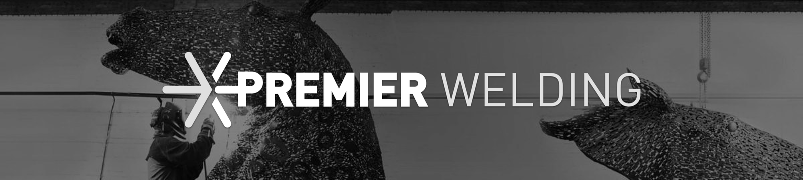 premier_welding | eBay Stores