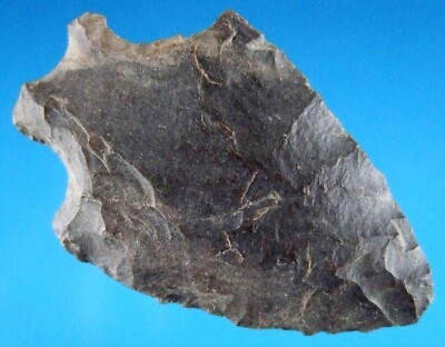Super Fine Authentic Kentucky Shawnee Springs Stanley Bifurcate Point ...