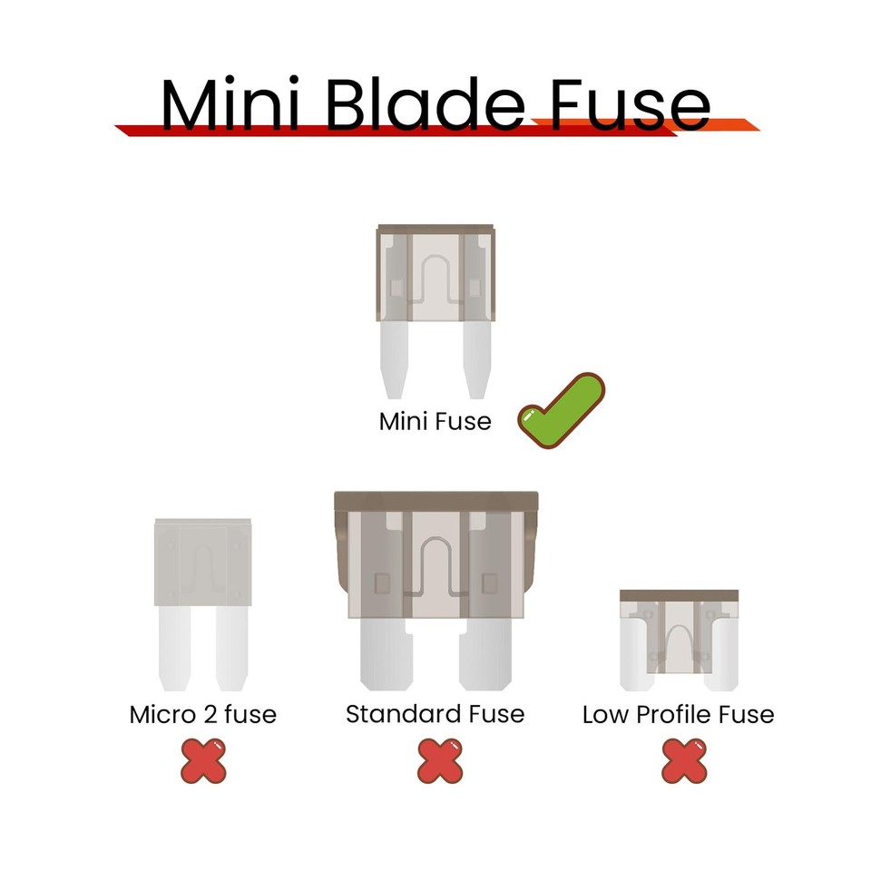 (60Pcs) 2 Amp Mini Car Fuses, 2A Automotive Blade Fuse for Grey | eBay