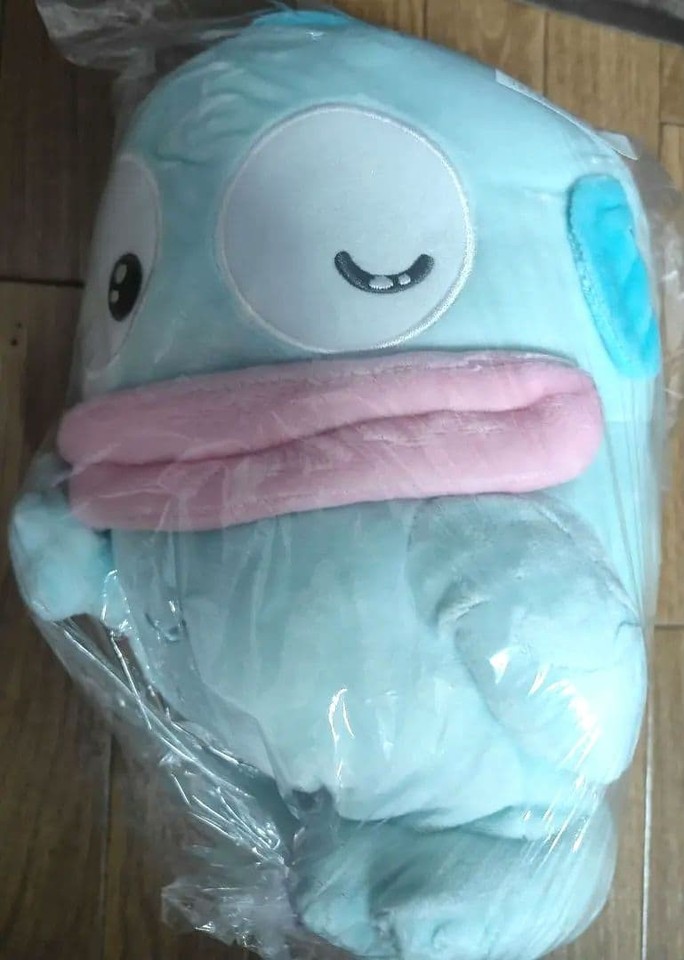 Hankyo-dong 5-point plush blanket with drawstring #659262 | eBay