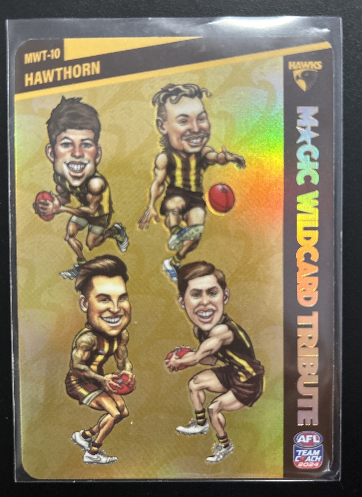2024 AFL SELECT TEAM COACH MAGIC WILDCARD TRIBUTE HAWTHORN GOLD MWT-10 ...