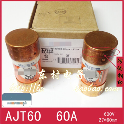 1PC AJT60 B218846 fuse 60A 600V | eBay