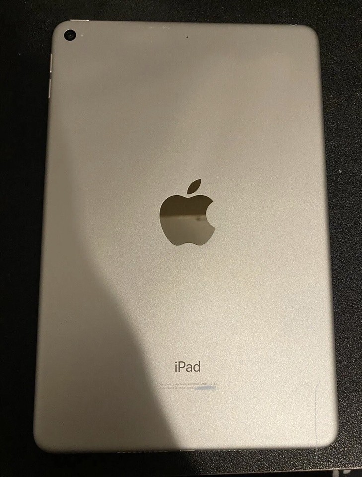 iPad mini 5th Generation 64GB Wi-Fi 7.9in Apple Tablet | eBay