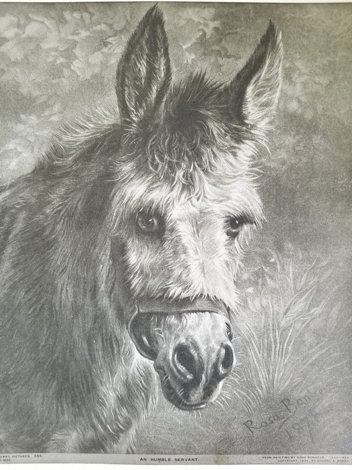 AN HUMBLE SERVANT BY BONHEUR.VTG EXTRA SIZE 12"x10" PERRY ENGRAVING ...