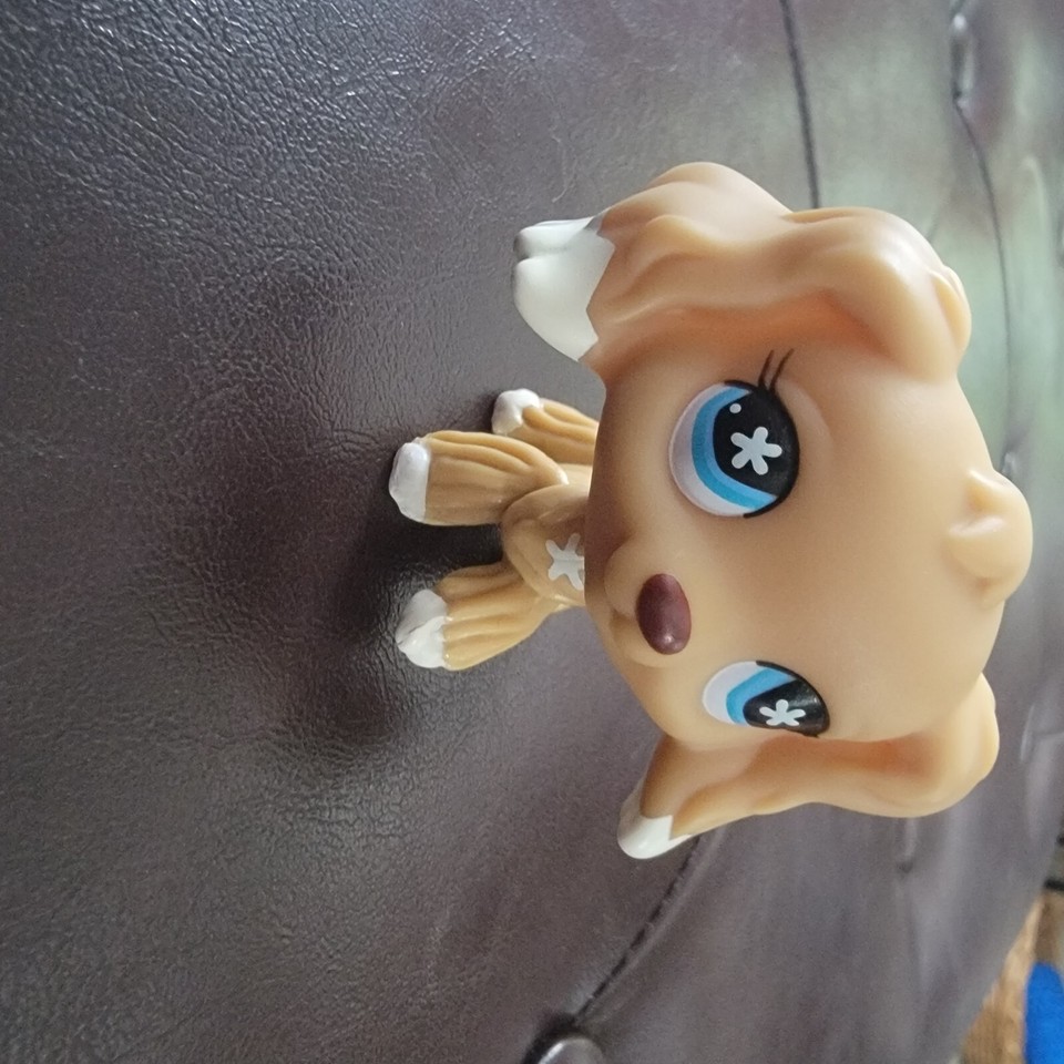 LPS, littest pet shop, LPS cocker spaniel #748, blonde with dipped ears ...