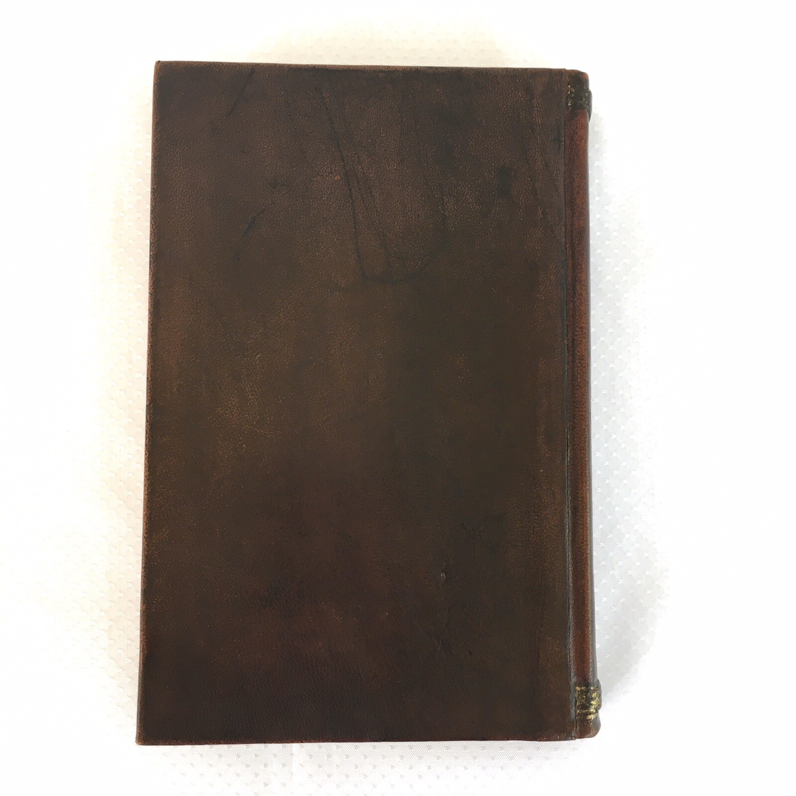 The Man Who Loved Clowns by June Rae Wood G.P. Putnam's 1992 First ...