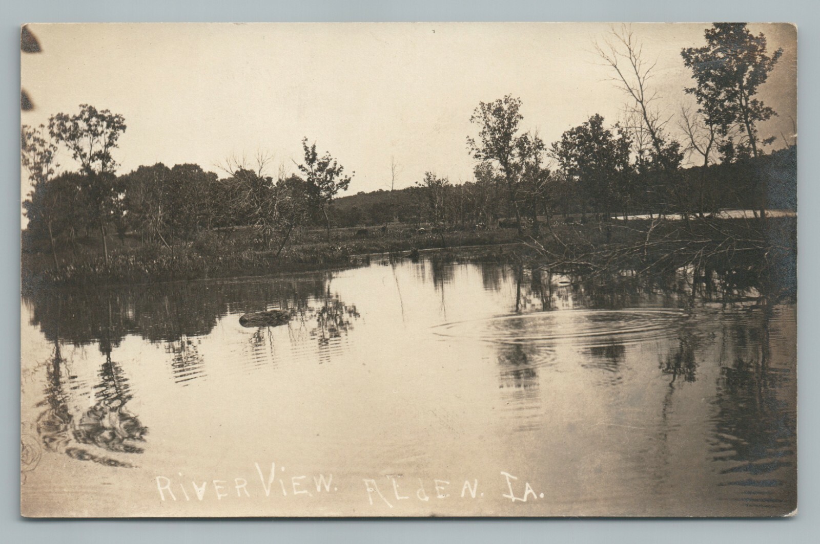 Iowa River ALDEN IA Antique RPPC Photo Hardin County Postcard 1910s | eBay