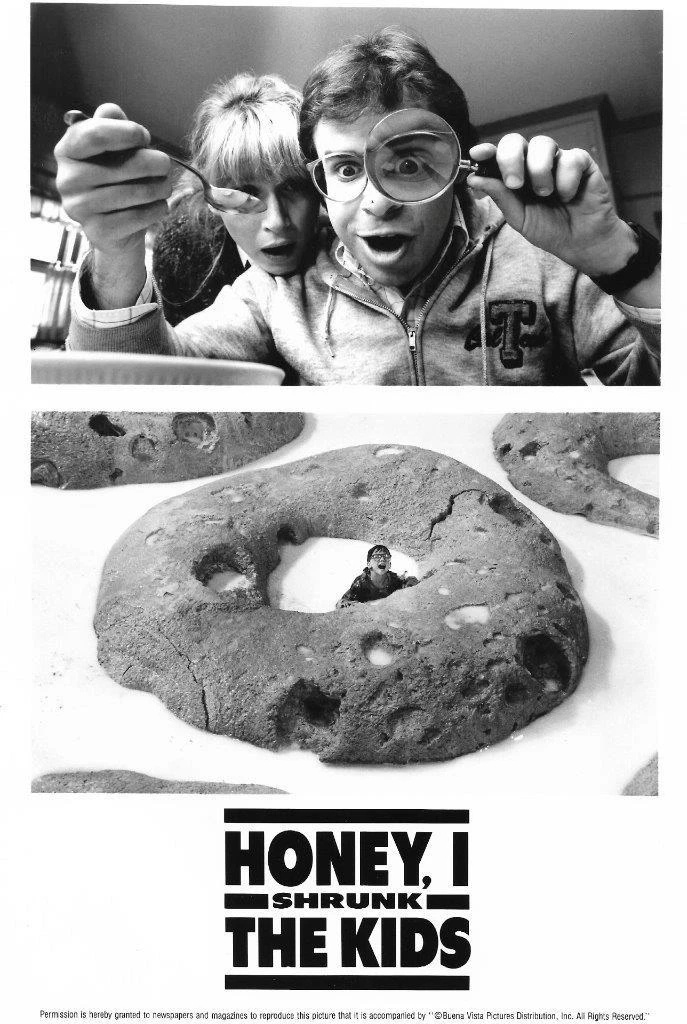 Amy Oneill Honey I Shrunk