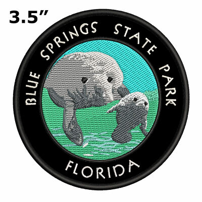Blue Springs State Park Florida Patch Iron-On Embroidered Applique ...