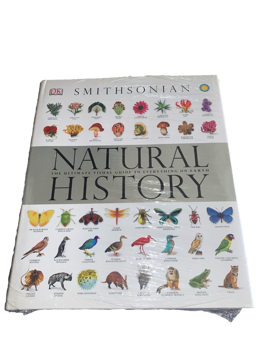 Ultimate Guide To Visiting The Smithsonian Tips