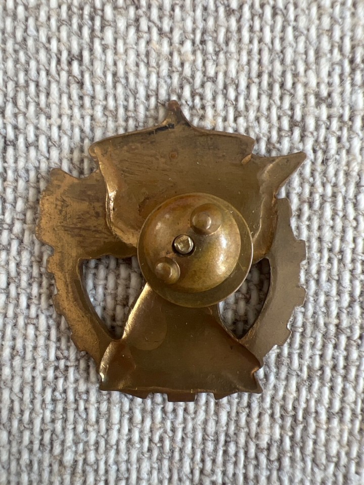 Czechoslovakia: Large bronze TYRSOV Communist movement badge 1950s-60s ...