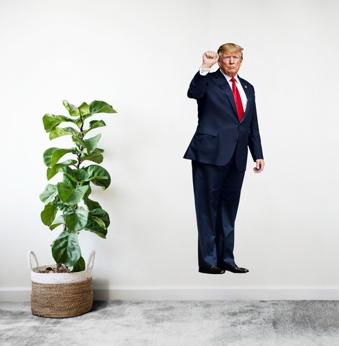 Donald Trump Life Size Peel & Stick Wall Decal Sticker Cutout ...