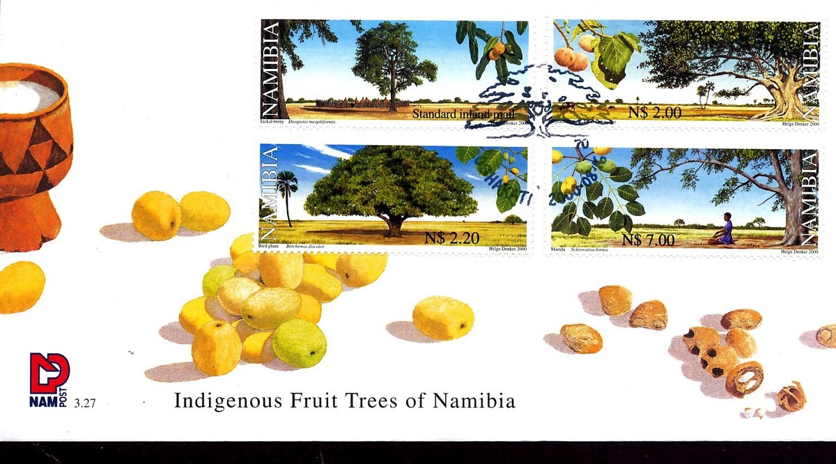 Namibia Fruit Trees Ethnobotanical Knowledge Of Indigenous Fruits In
