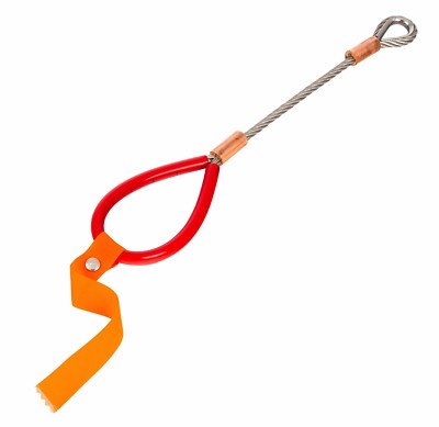 MSA & FIA Stainless Steel Wire Tow Eye Strap, MSA Compliant Q19.1.3 ...