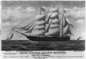 Bark Catalpa,of New Bedford,1876,Ship,John J. Breslin,John T ...