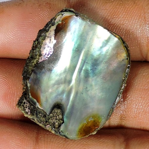 16.00Cts Natural Multi Flashy Fossil Abalone Shell Fancy Cabochon ...