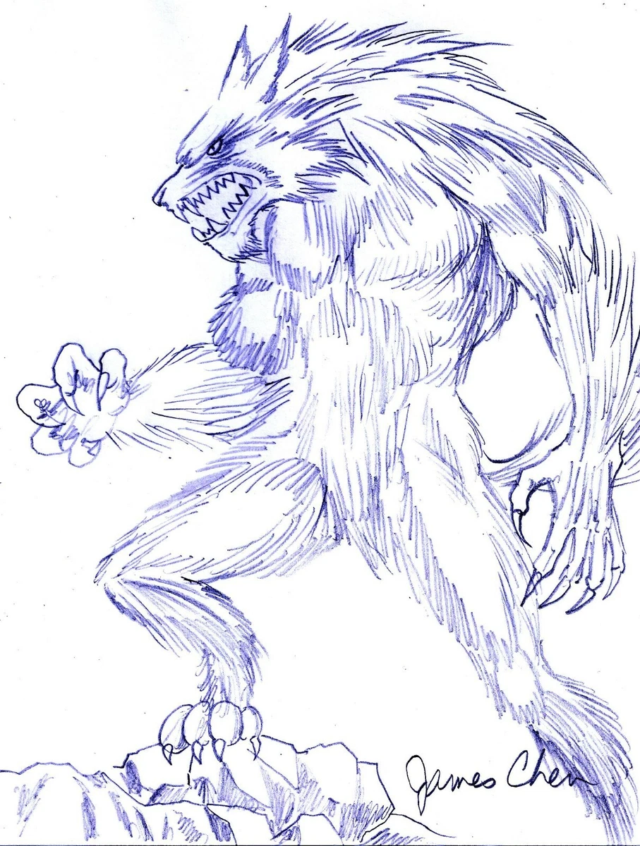 Pencil Drawings Of Werewolves