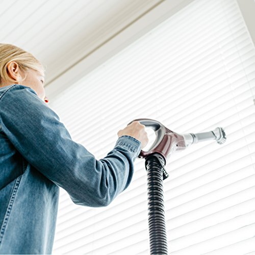 Shark NV752 Rotator Powered Lift-Away Bagless Upright Vacuum - Maroon ...